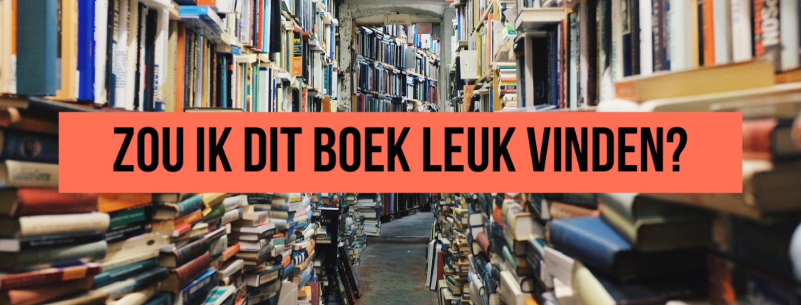 Zou ik dit boek leuk vinden? – BookSomeTea