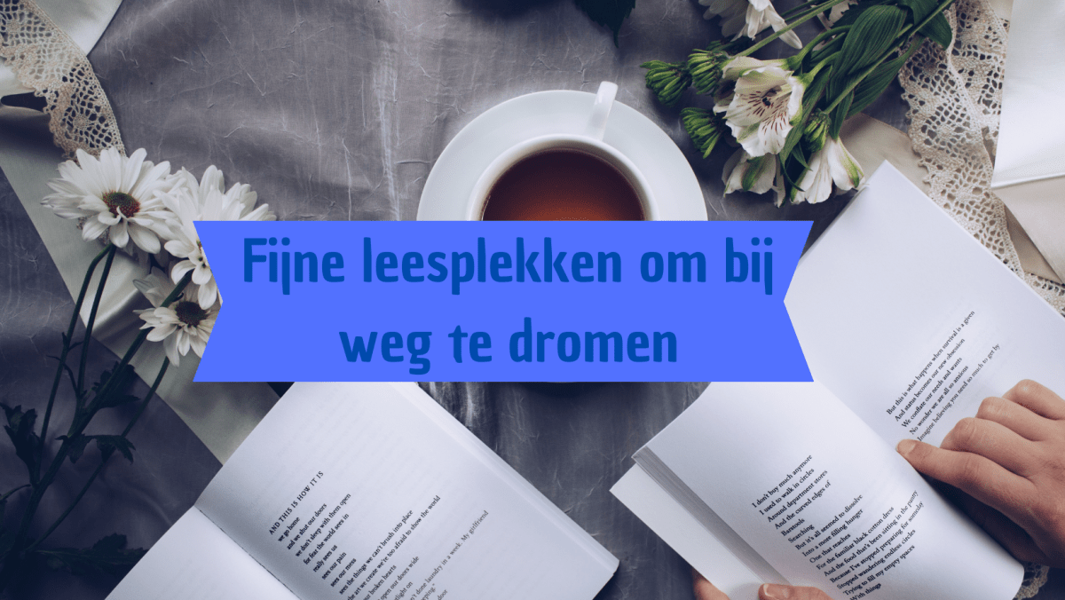 Fijne leesplekken om bij weg te dromen – BookSomeTea