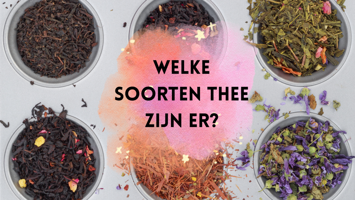 Welke soorten thee zijn er? – BookSomeTea